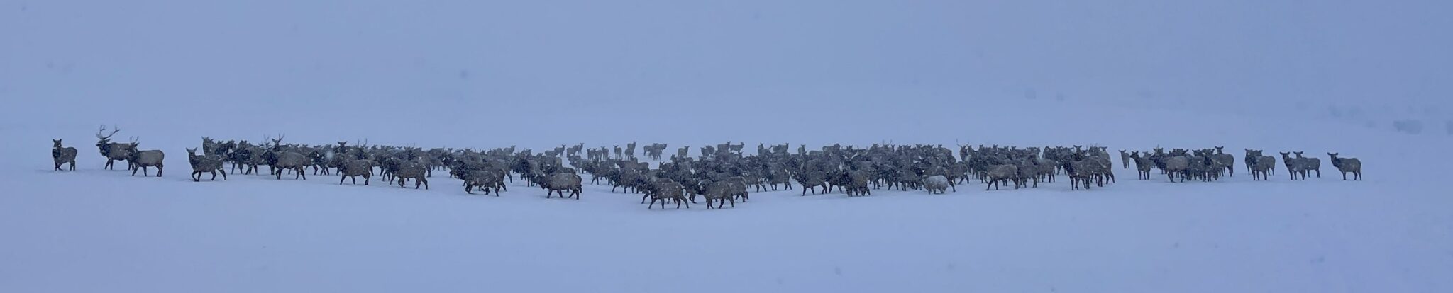 Hardware Ranch - Wild About Utah