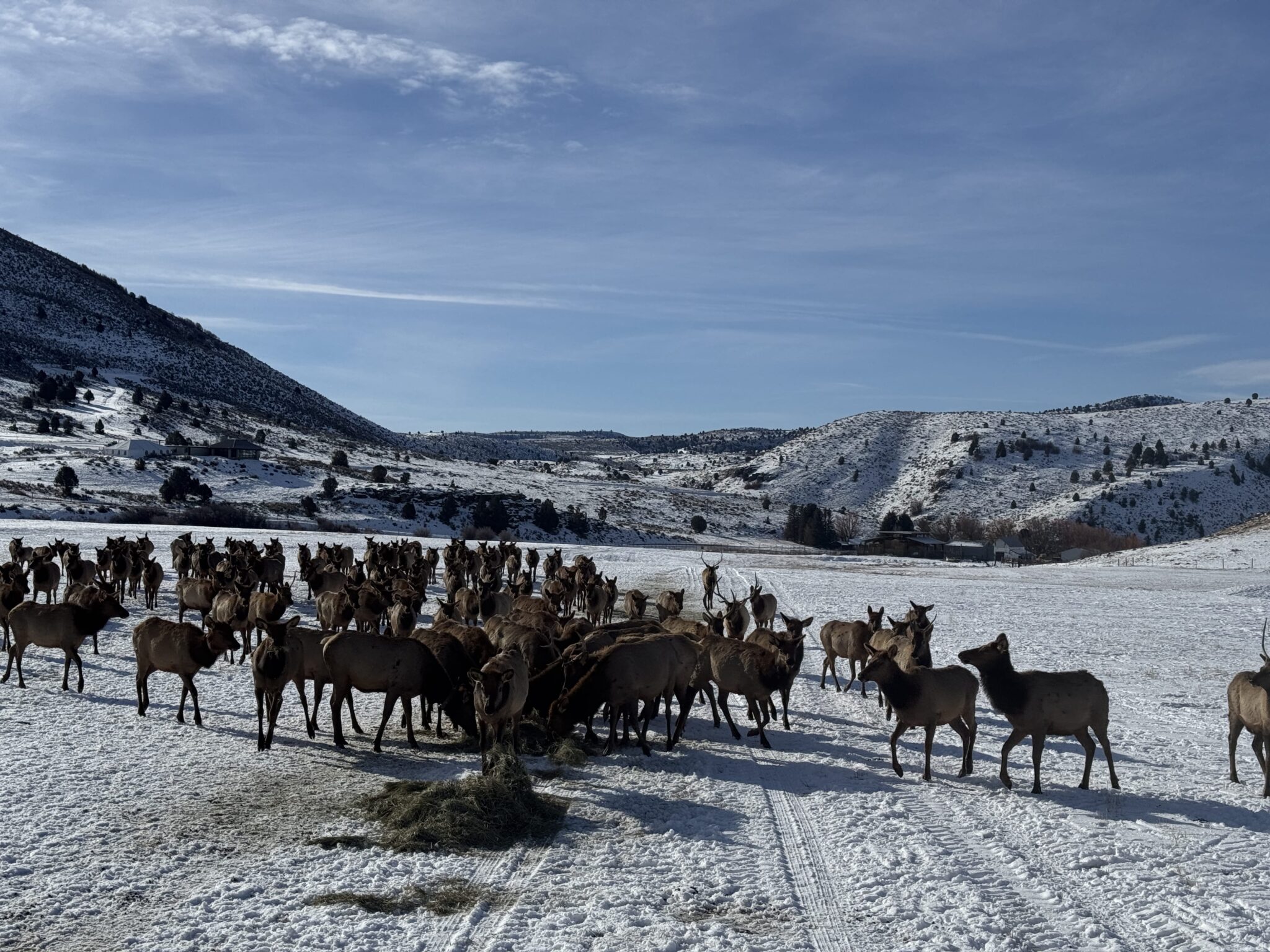 Hardware Ranch - Wild About Utah